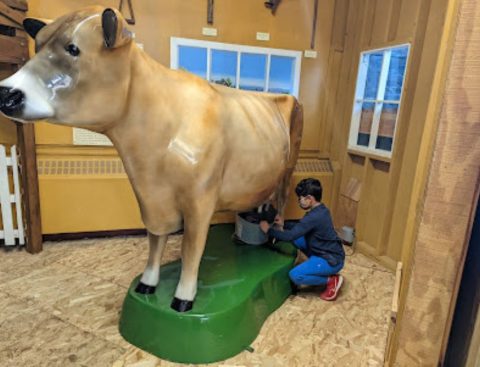 Lutz Children’s Museum, Manchester Connecticut